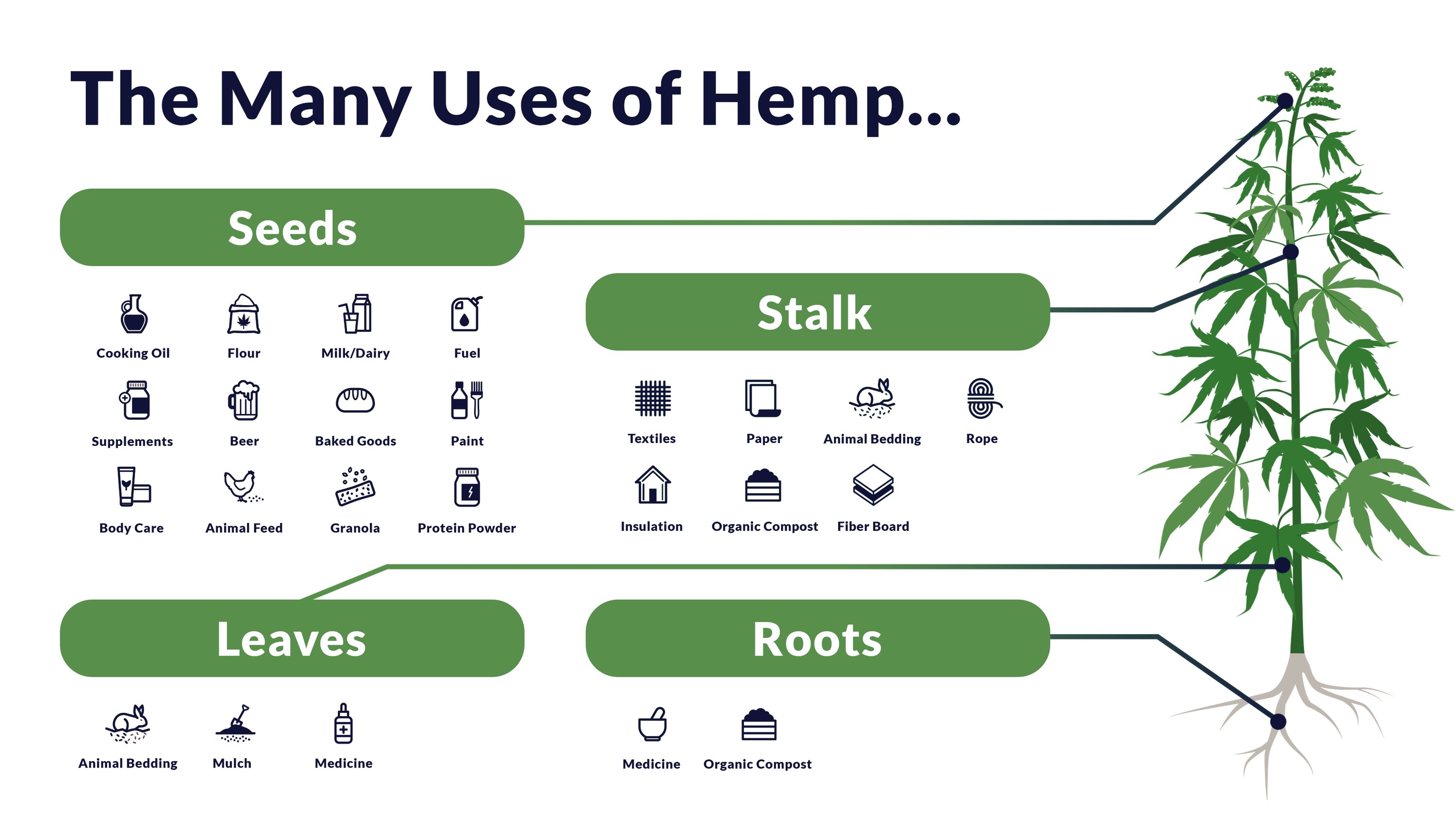 Hemp 101 | BuildingMetrix Blog