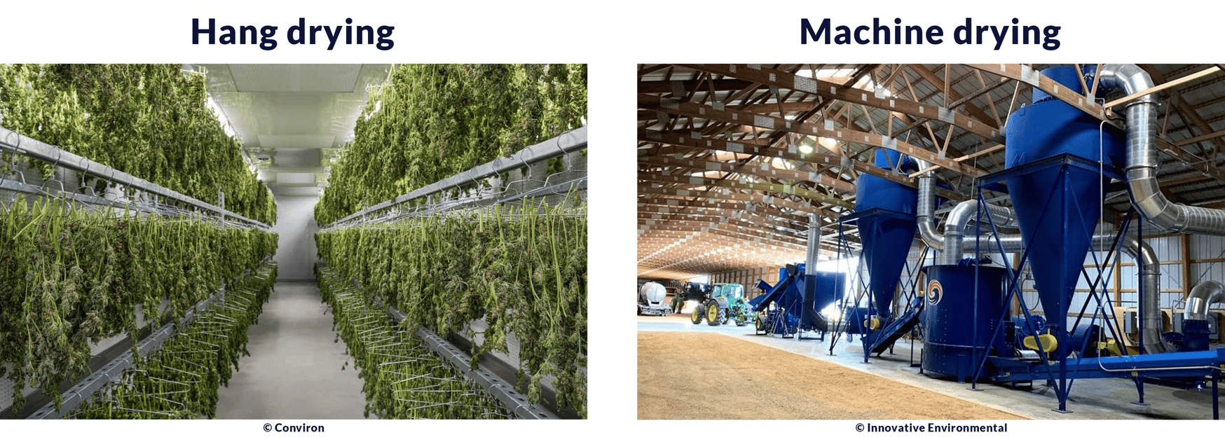 Hemp 101 | BuildingMetrix Blog